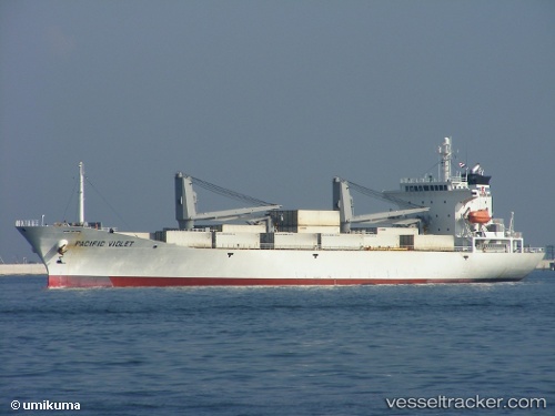 Pacific Violet - Cargo Ship, IMO 9178654, MMSI 357611000, Callsign ...