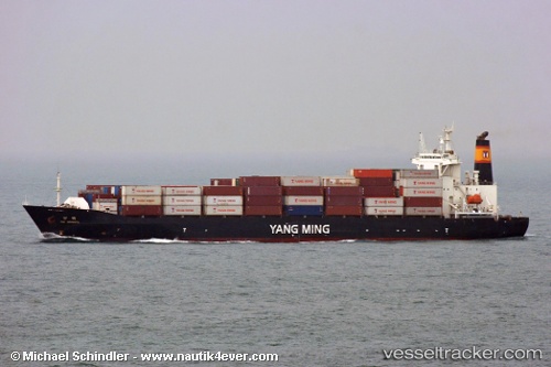 YM Heights - Cargo Ship, IMO 9301275, MMSI 416426000, Callsign BLII ...