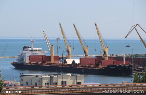 Gullwing - Cargo Ship, IMO 9595981, MMSI 229281000, Callsign 9HA3199 ...