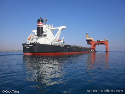 Cardinal Victory - Cargo Ship, IMO 9558165, MMSI 431342000, Callsign ...