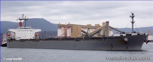 Carina - Cargo Ship, IMO 9151333, MMSI 312576000, Callsign V3IM3, Flag ...