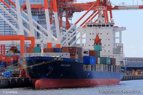 Halcyon - Cargo Ship, IMO 9390642, MMSI 311058000, Callsign C6WB4, Flag ...