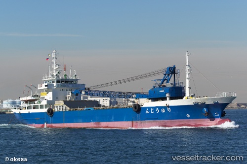 Ryujin - Cargo Ship, IMO 9714082, MMSI 431004378, Callsign JD3438, Flag ...