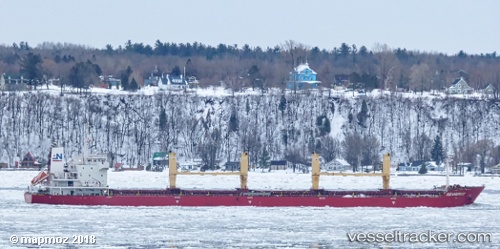 Seahorse - Cargo Ship, IMO 9594456, MMSI 538007572, Callsign V7GQ4 ...