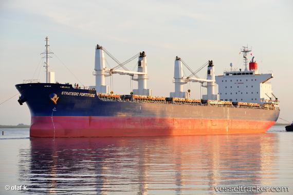 Strategic Fortitude - Cargo Ship, IMO 9753387, MMSI 566646000, Callsign ...