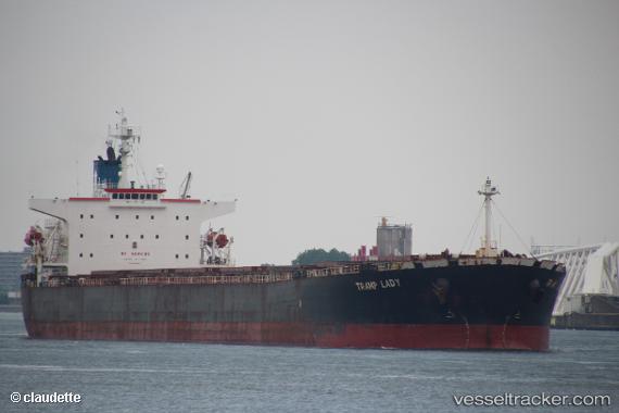 Tramp Lady - Cargo Ship, IMO 9286621, MMSI 248110000, Callsign 9HA4520 ...