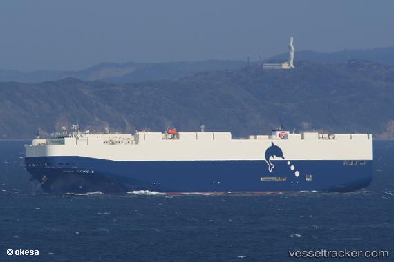 Trans Future 6 - Cargo Ship, IMO 9326081, MMSI 371797000, Callsign ...
