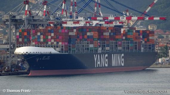 YM Wellspring - Cargo Ship, IMO 9757230, MMSI 355703000, Callsign 3FFG9, Flag Panama ...