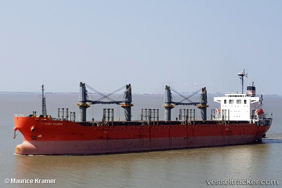 Forest Trader - Cargo Ship, IMO 9614361, MMSI 372191000, Callsign , Flag Panama - vesseltracker.com