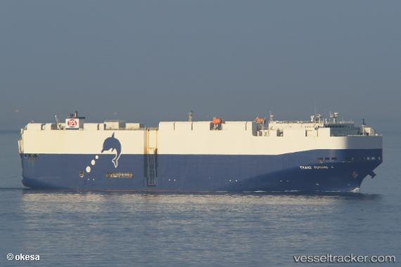 Trans Future 6 - Cargo Ship, IMO 9326081, MMSI 371797000, Callsign ...