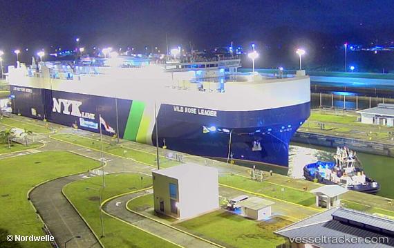 Wild Rose Leader - Cargo Ship, IMO 9925370, MMSI 636022333, Callsign ...
