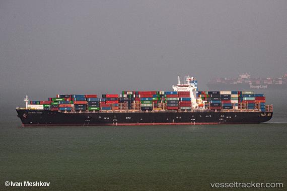 MSC Long Beach VI - Cargo Ship, IMO 9327803, MMSI 636021448, Callsign ...